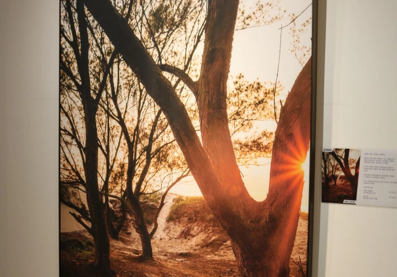 Exposição Portais propõe uma viagem às emoções - ACIC [...]